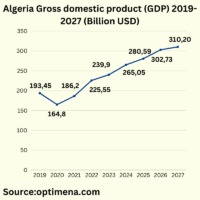 Algeria Economic & Demographic Outlook 2025: Insights, Analysis ...
